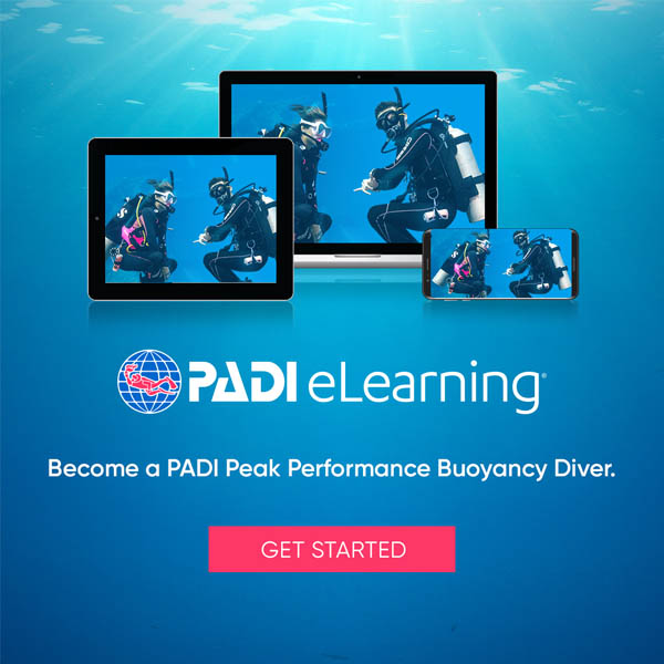 eLearning | The Dive Shop